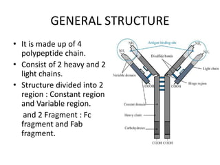Immunoglobulin | PPTX
