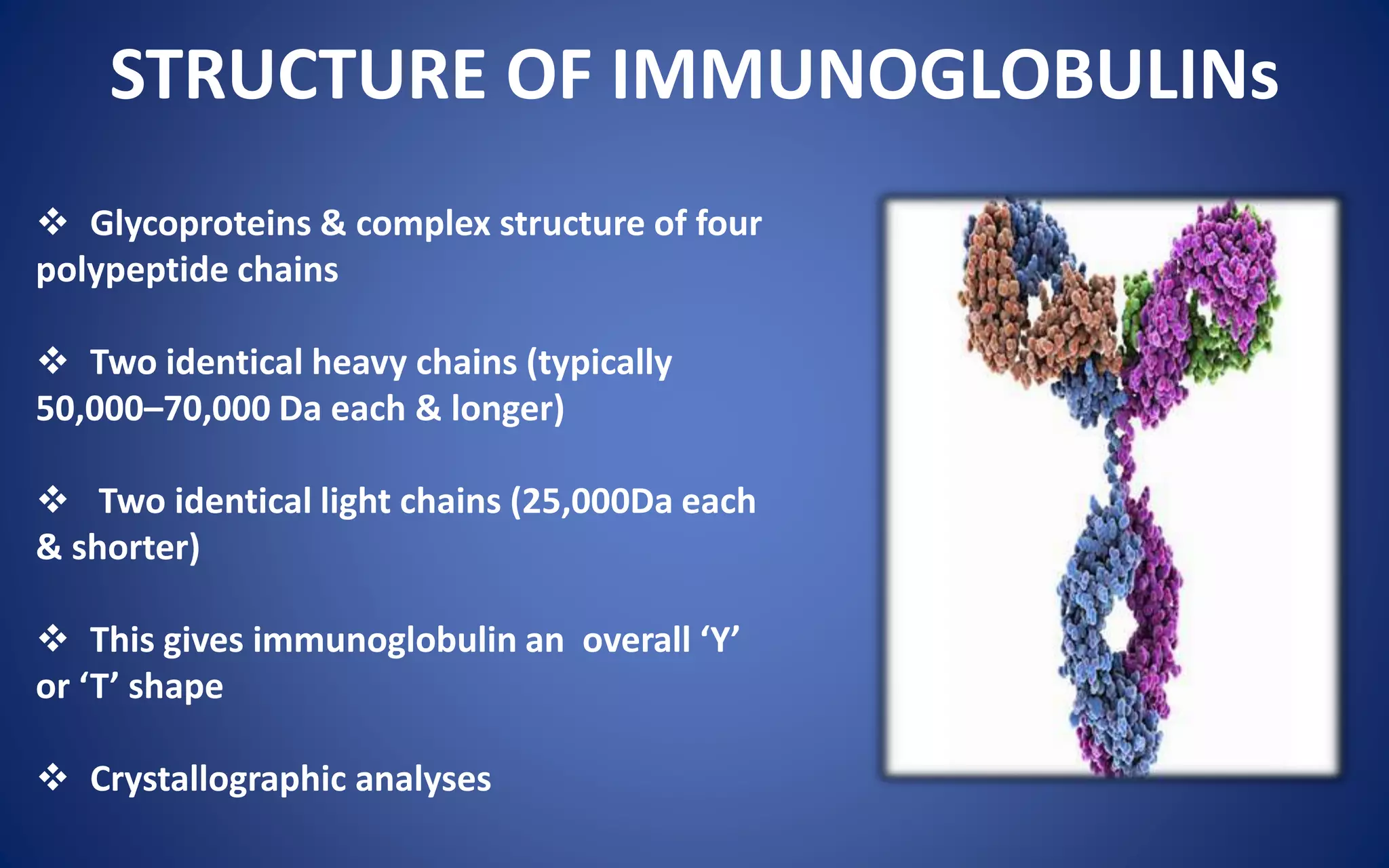 Immunoglobulin | PPTX