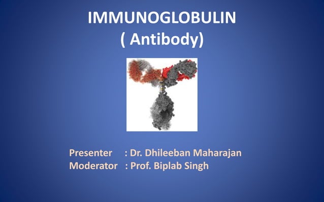 Immunoglobulin | PPTX | Genetics | Science