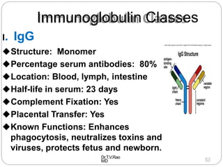 Immunoglobulin,-Antibody structure, definition, structure, types, functions, | PPTX