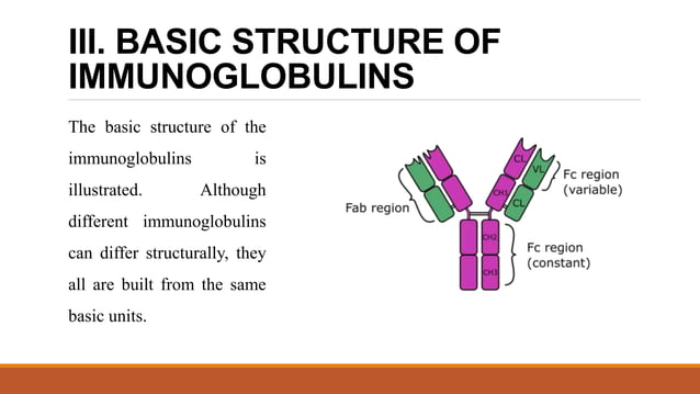 Immunoglobulin | PPTX