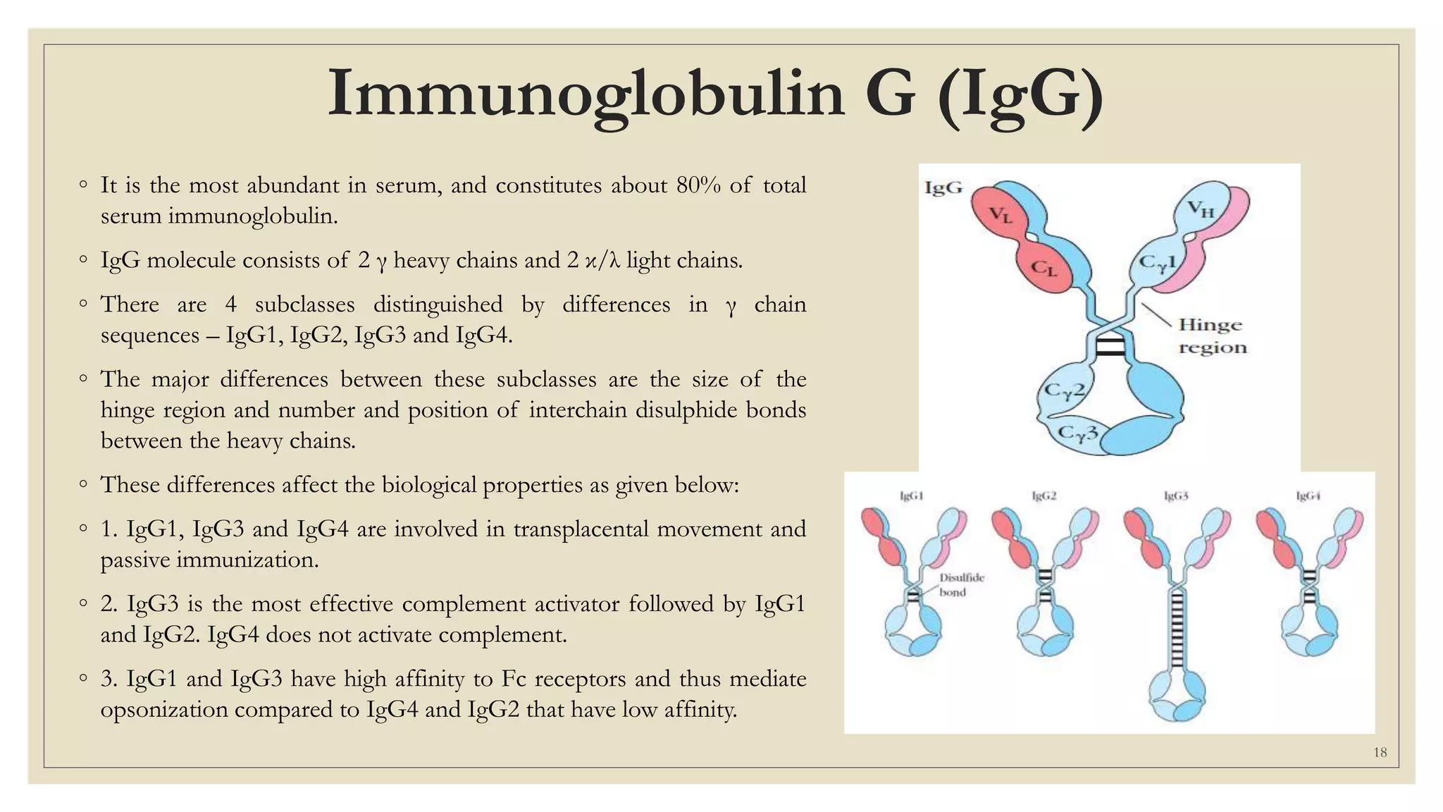 Immunoglobulin.pptx