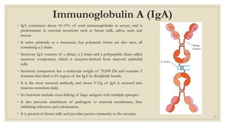 Immunoglobulin.pptx