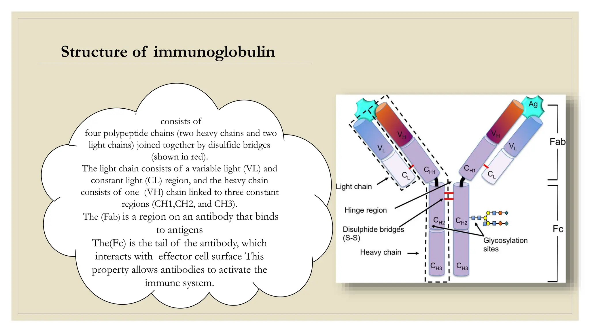 Immunoglobulin.pptx...................... | PPTX