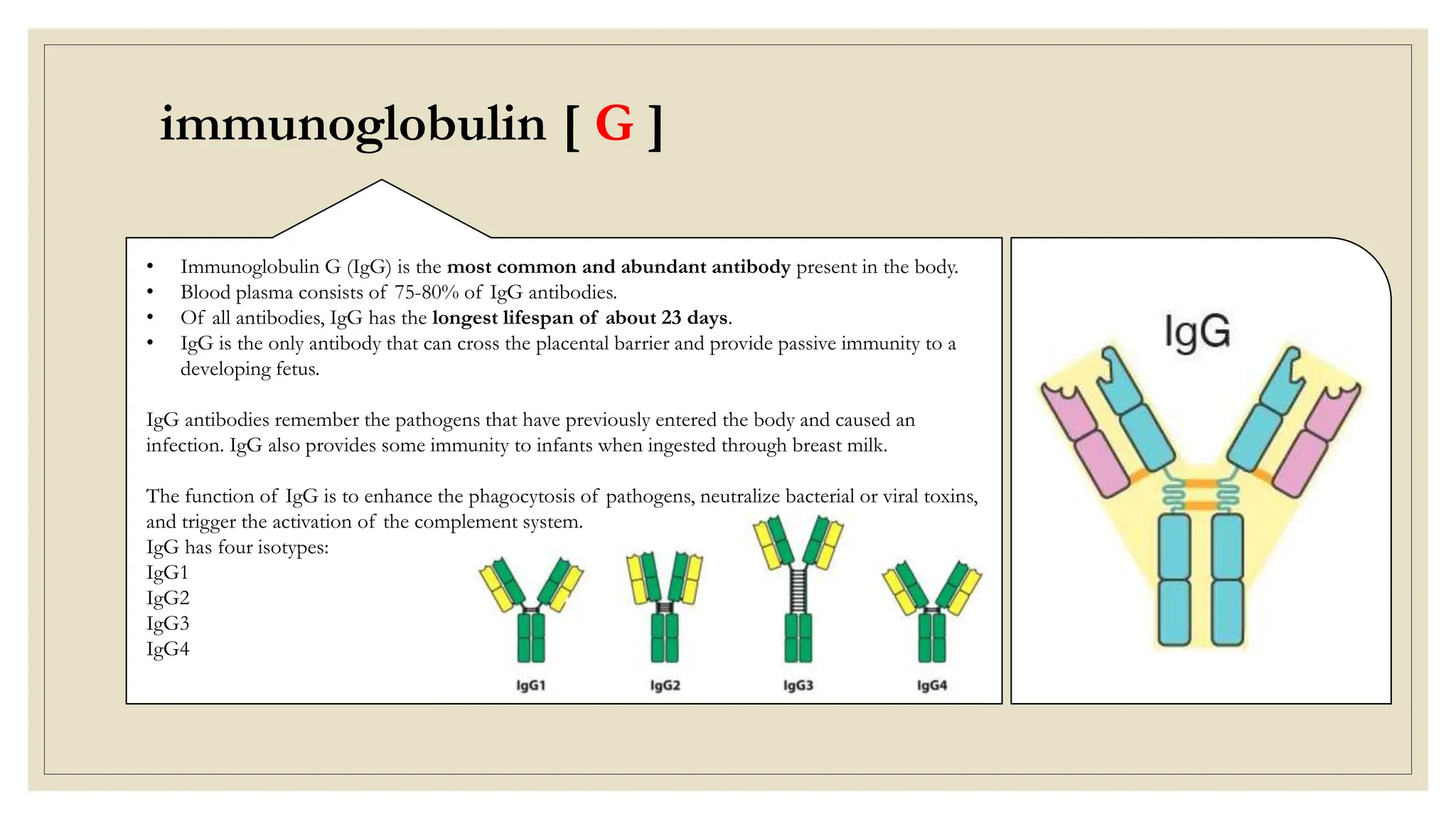 Immunoglobulin.pptx...................... | PPTX