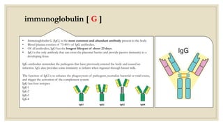 Immunoglobulin.pptx...................... | PPT