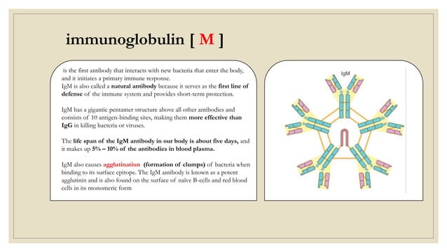 Immunoglobulin.pptx...................... | PPT