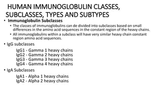 Immunoglobulin types, structure and function.pdf