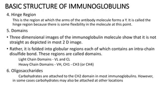 Immunoglobulin types, structure and function.pdf