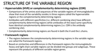 Immunoglobulin types, structure and function.pdf