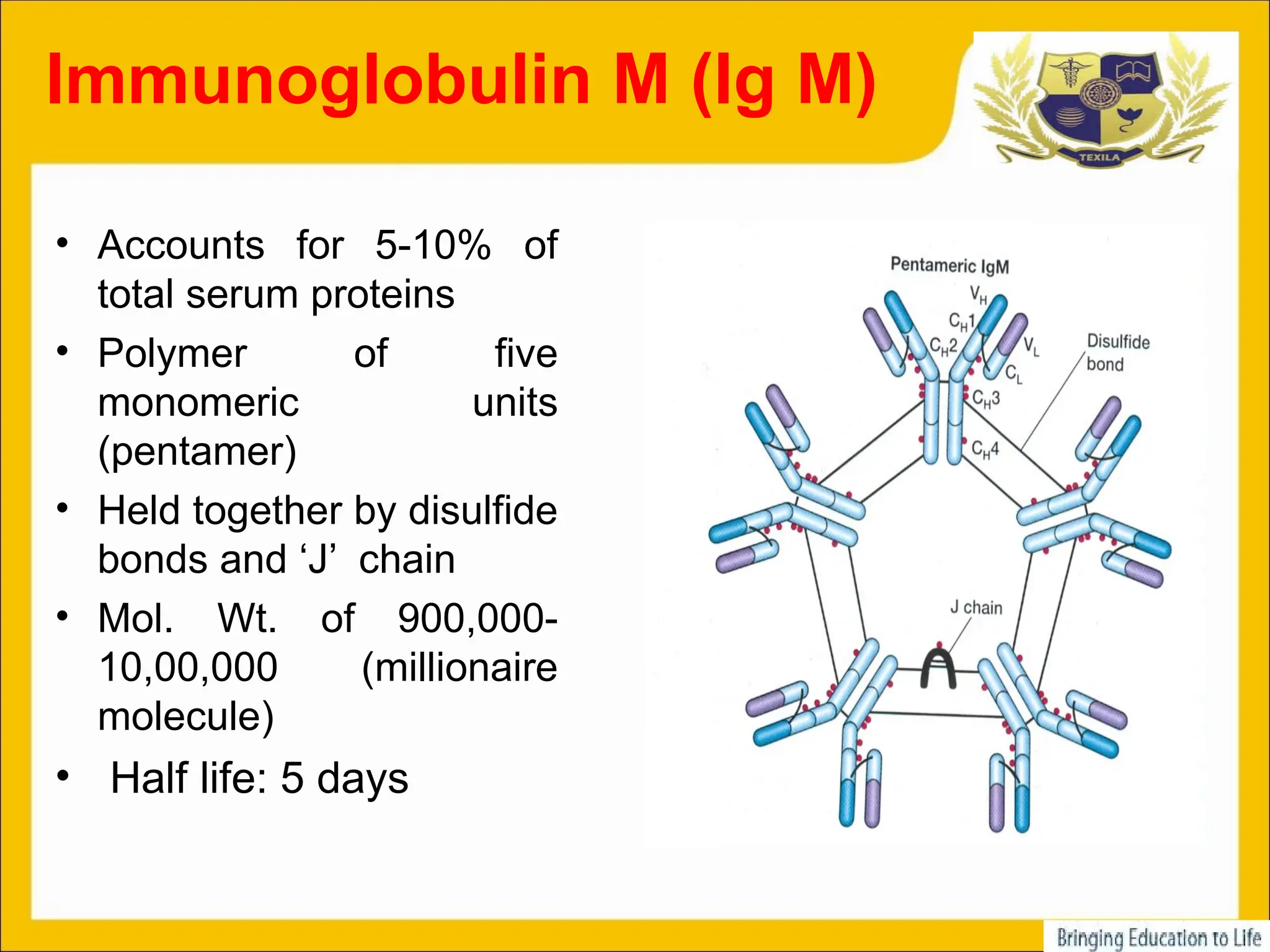 Immunoglobulin.pptffffffffffugfygsygfysgyg | PPT