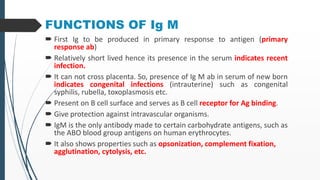Immunoglobulin classes | PPTX