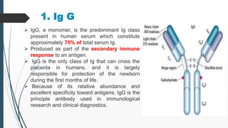 Immunoglobulin classes | PPTX