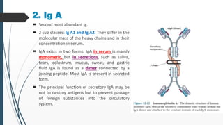 Immunoglobulin classes | PPTX