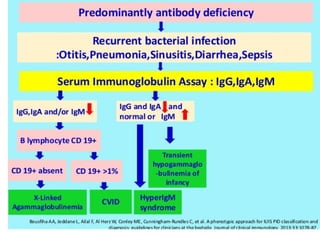 Immunoglobulin def.cvid