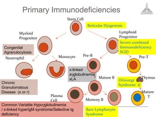 Immunoglobulin def.cvid