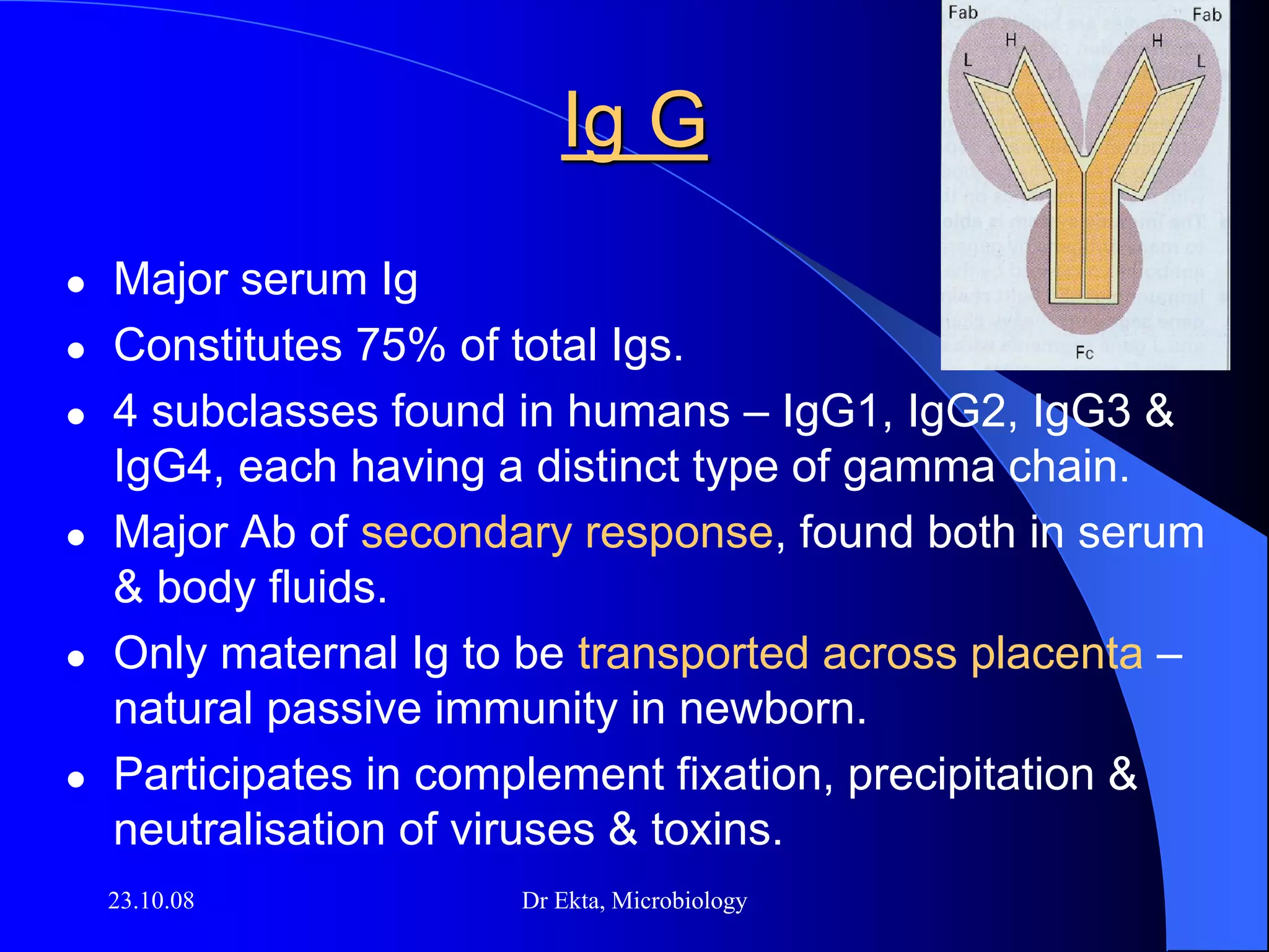 Immunoglobulin Microbiology.pdf | Infectious Diseases | Diseases and ...