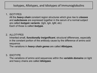 Immunoglobulins- Explained | PPT