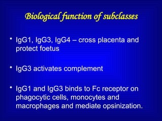immunoglobulins-140309015431-phpapp01.pptx