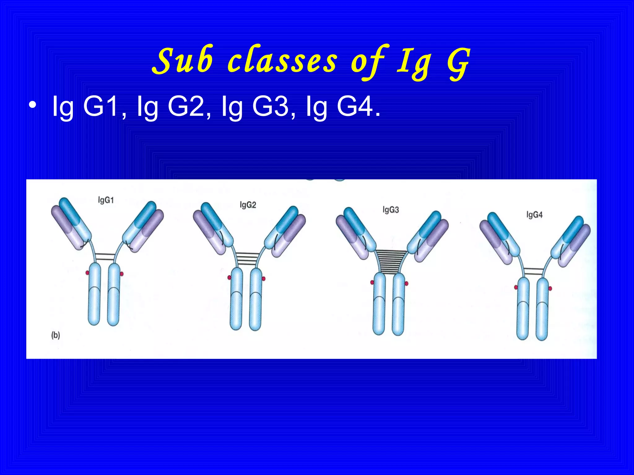 Immunoglobulins | PPT