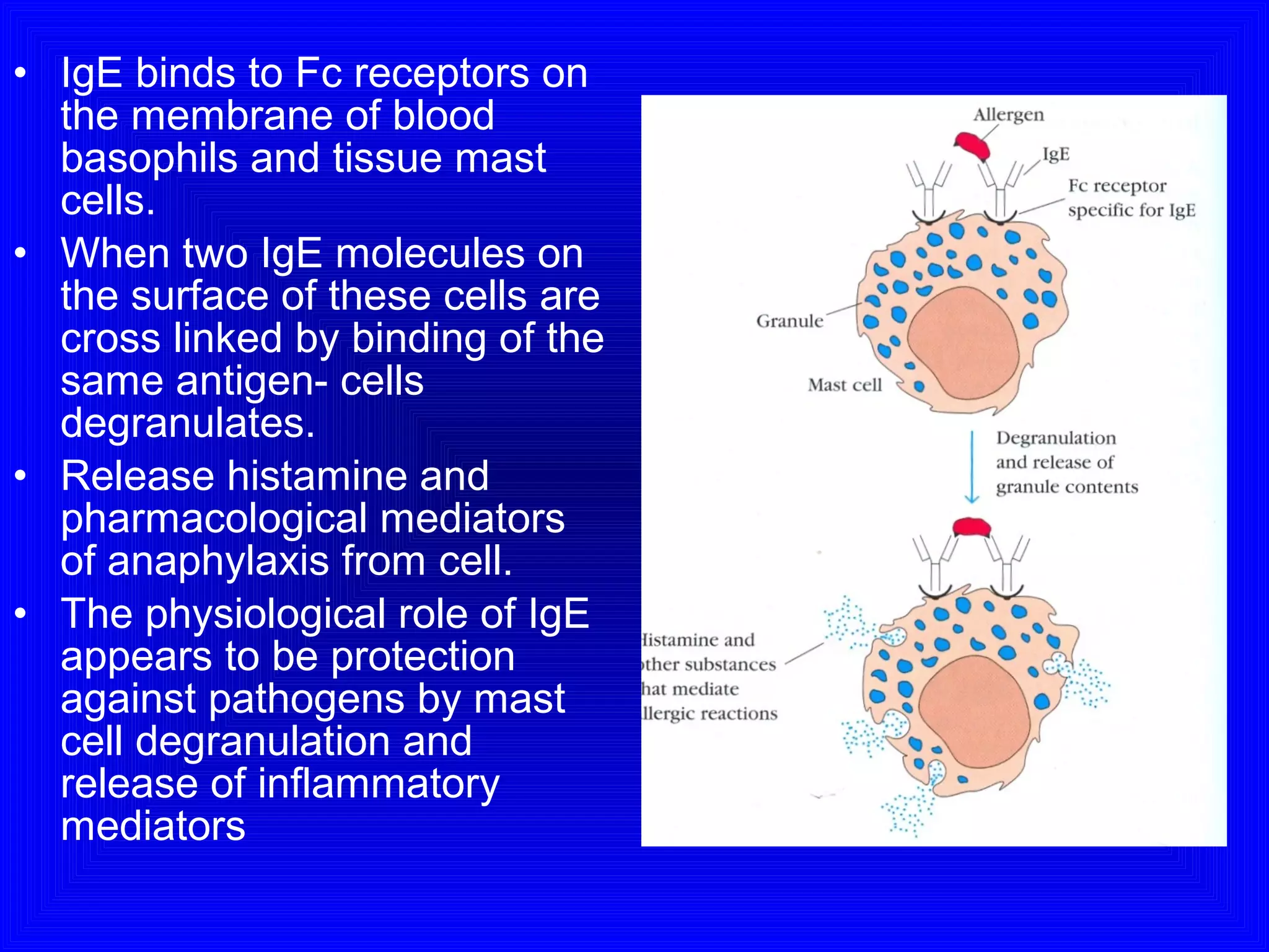 Immunoglobulins | PPT