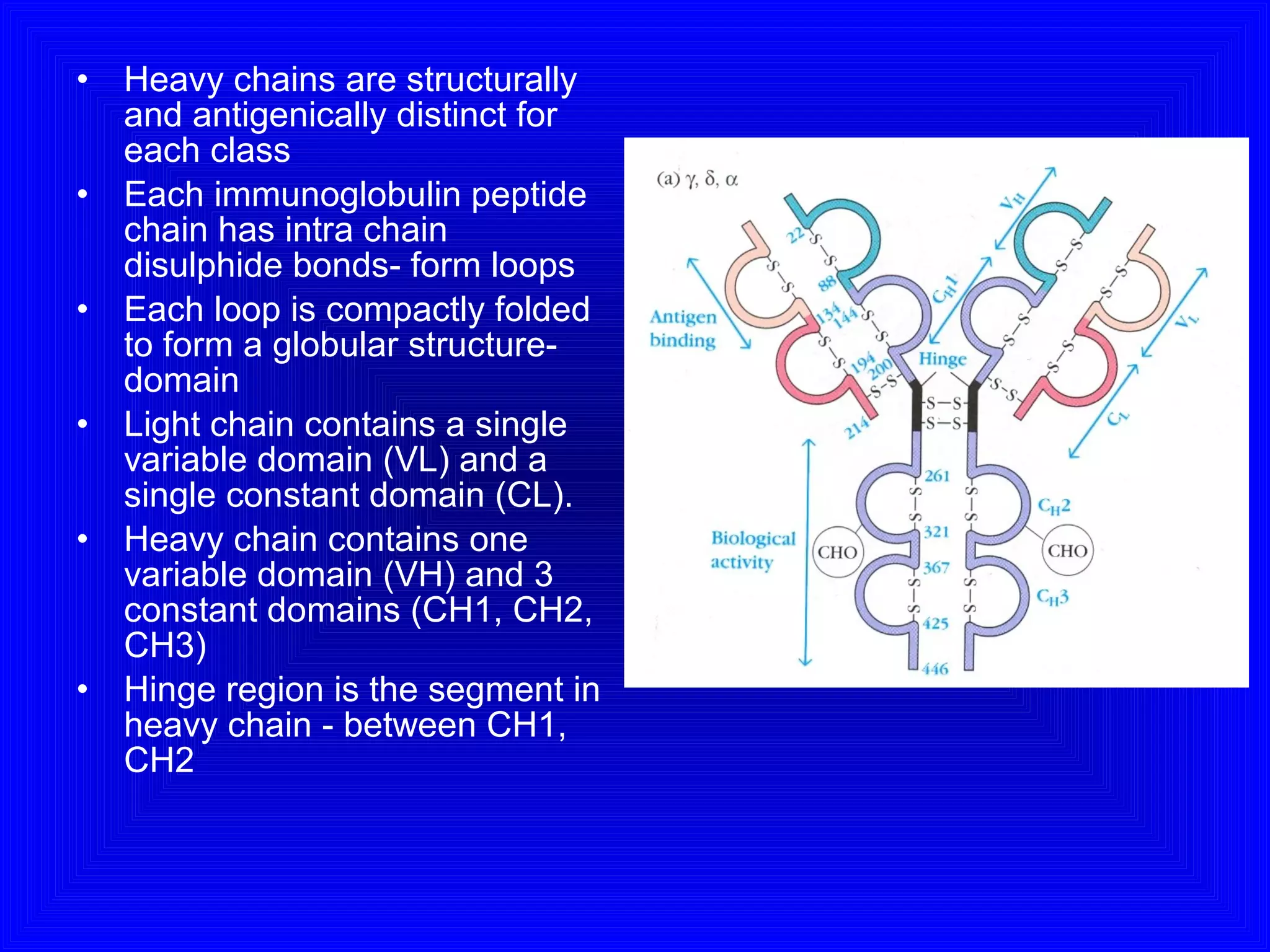 Immunoglobulins | PPT
