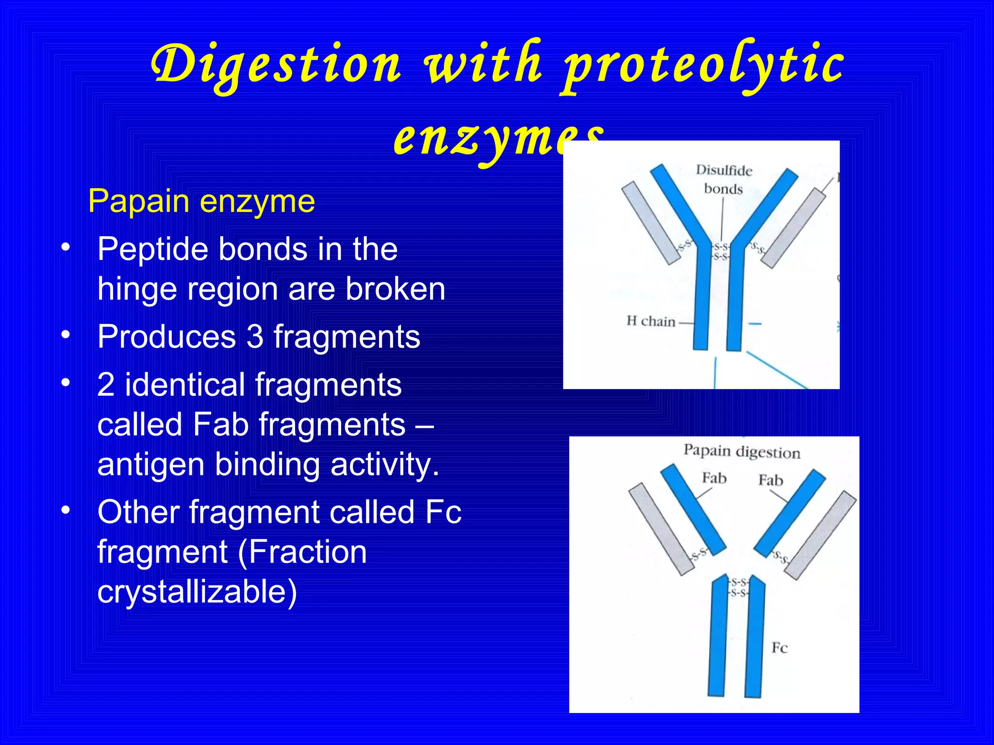 Immunoglobulins | PPT