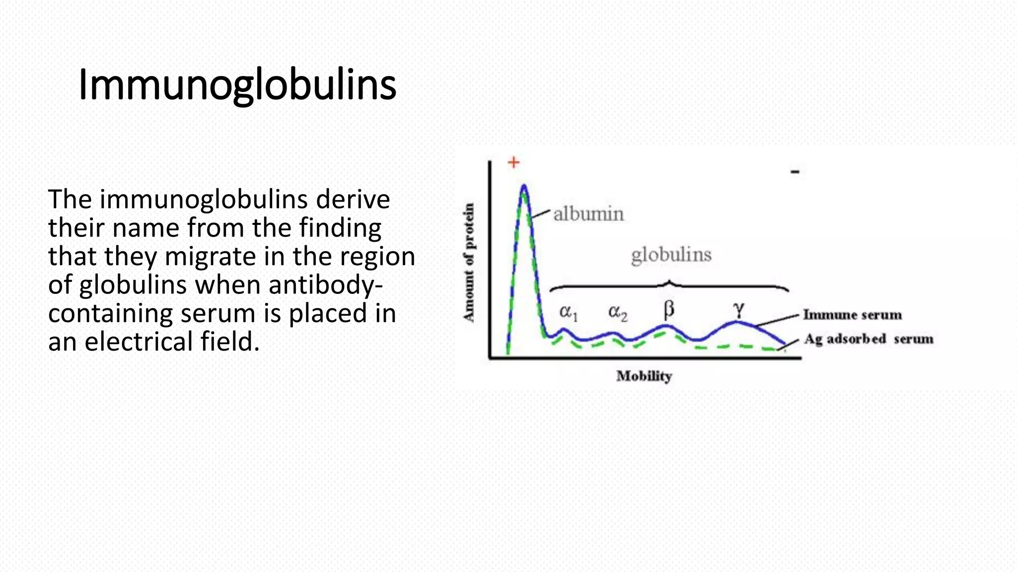 Immunoglobulins- Structure and function | PDF