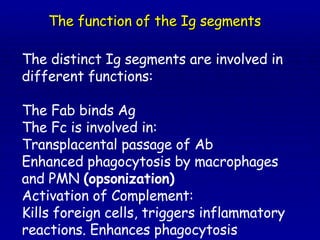 Immunoglobulins | PPT
