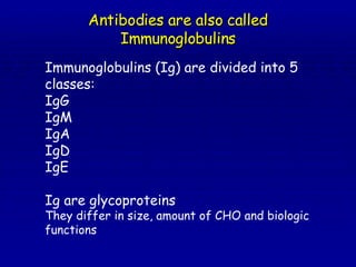 Immunoglobulins | PPT