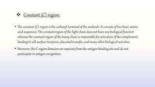 Immunoglobulins: structure, functions & types | PPTX