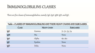 Immunoglobulins: structure, functions & types | PPTX