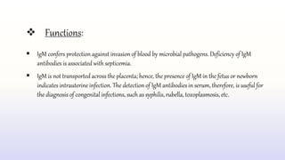 Immunoglobulins: structure, functions & types | PPTX
