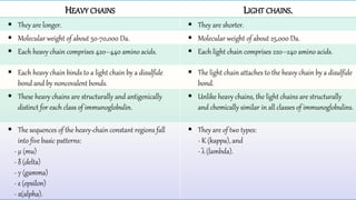 Immunoglobulins: structure, functions & types | PPTX