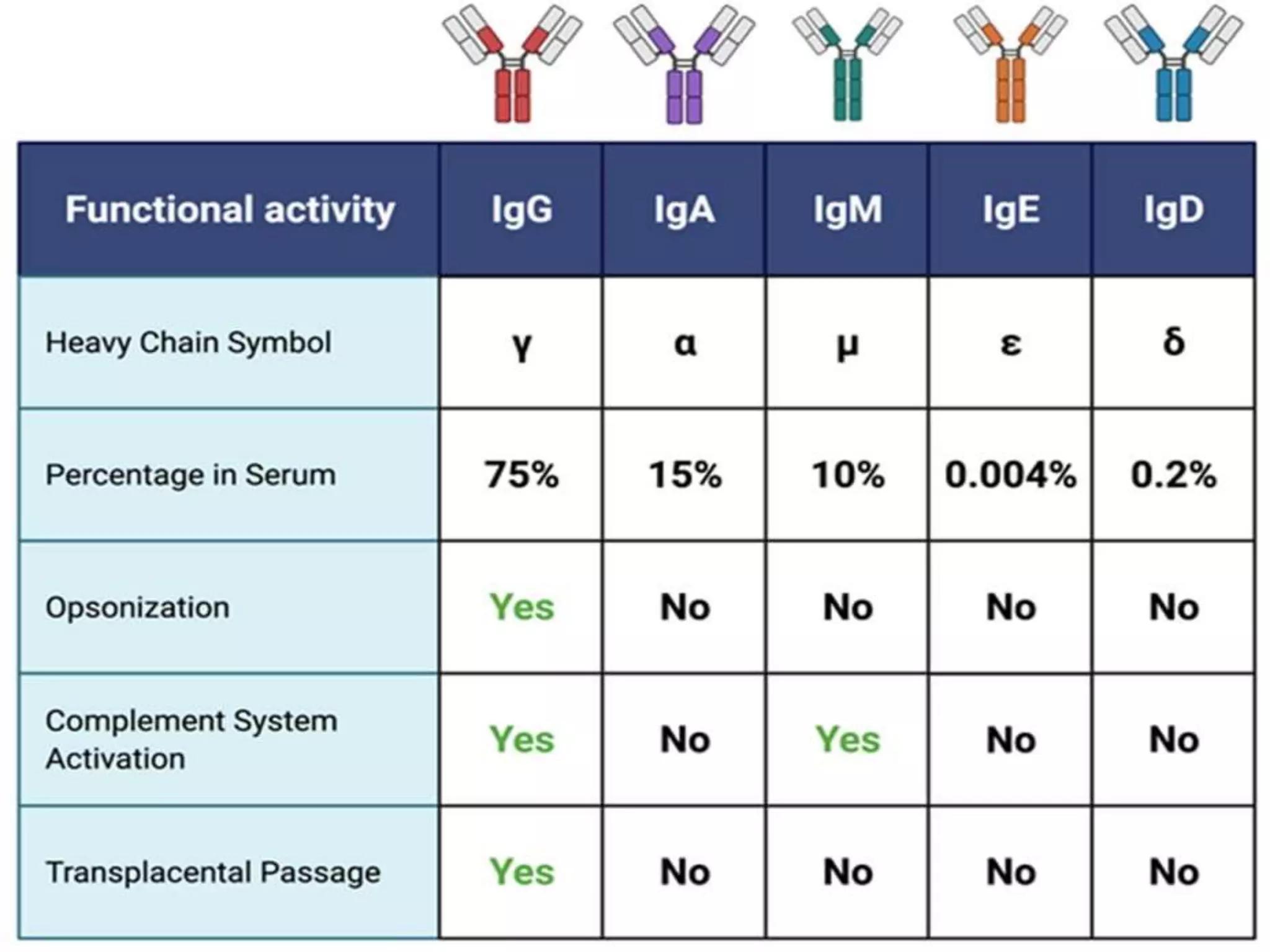 immunoglobulins.pptx
