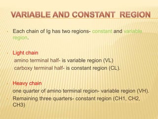 immunoglobulins.pptx