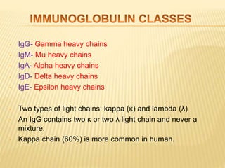 immunoglobulins.pptx