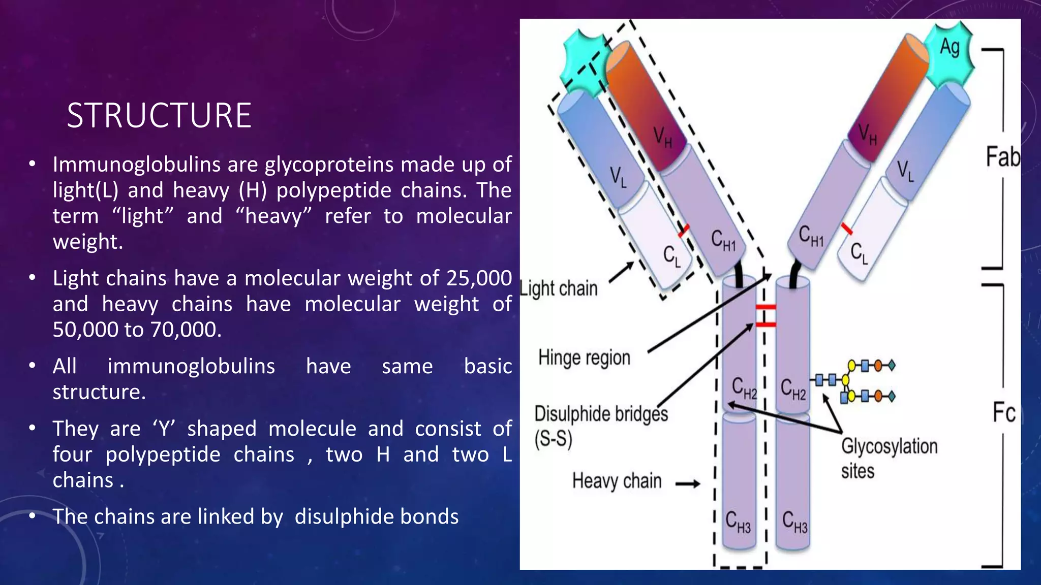 immunoglobulins.pptx