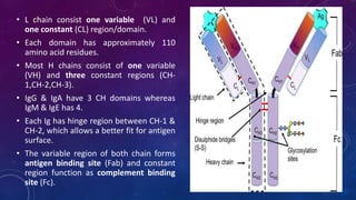 immunoglobulins.pptx