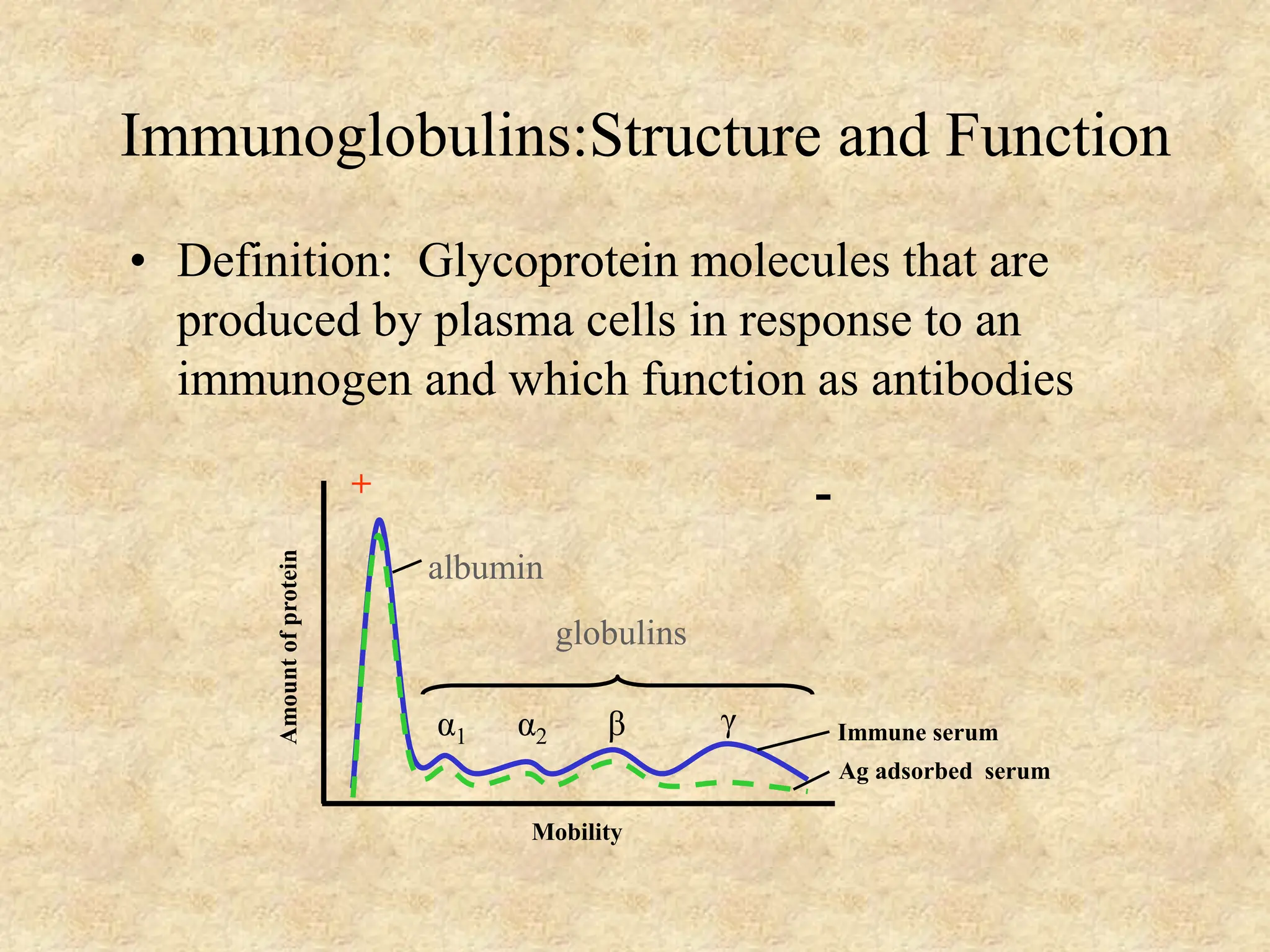 immunoglobulins: Structure and Function.ppt