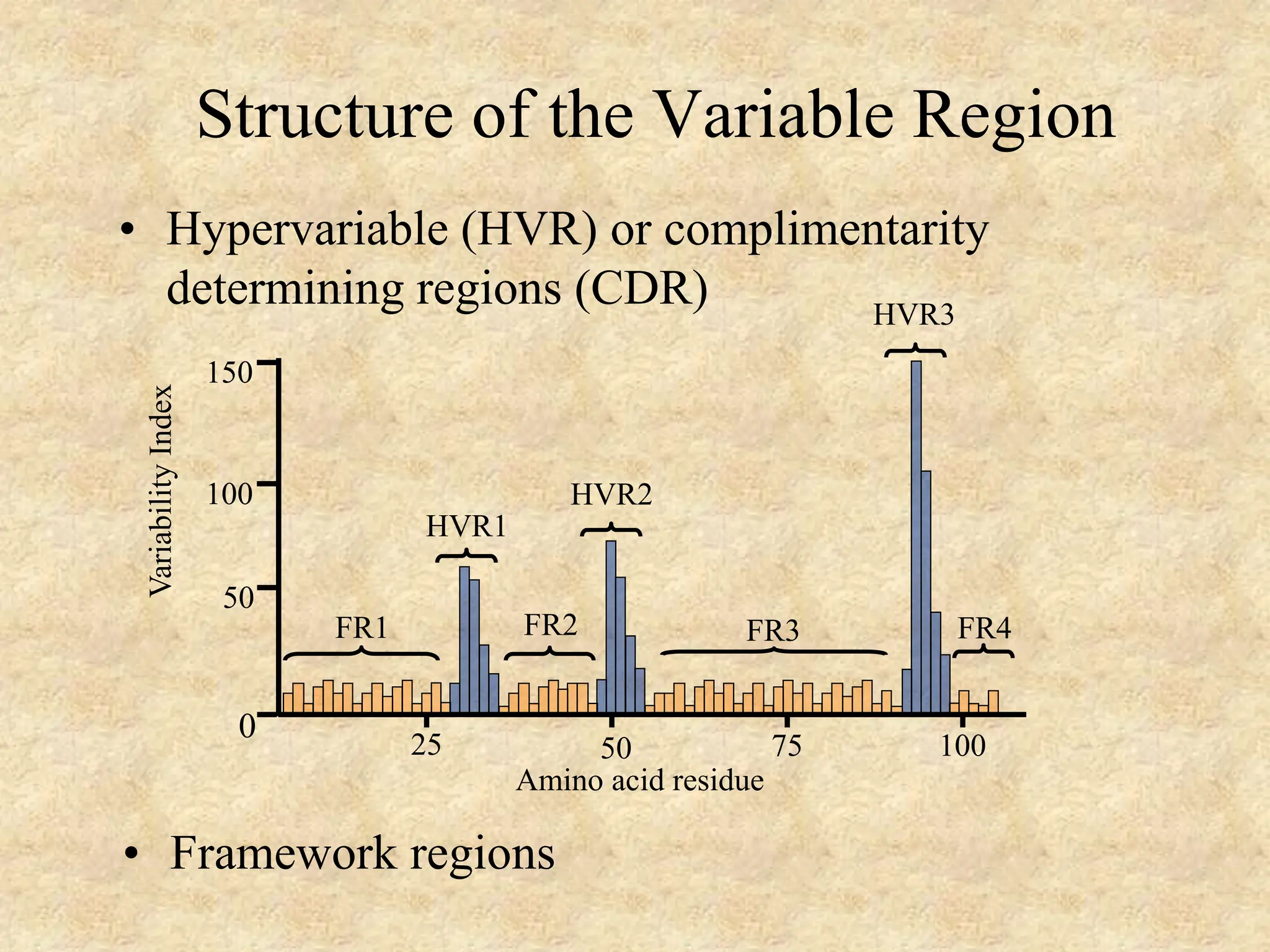 immunoglobulins: Structure and Function.ppt