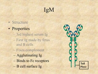immunoglobulins: Structure and Function.ppt