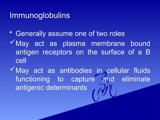 IMMUNOLOGY & PATHOLOGY. Immunoglobulins.pptx