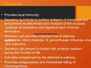 immunoglobulins.pptx its structure and types | PPTX