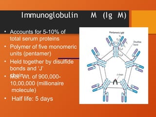 immunoglobulins.pptx its structure and types | PPTX