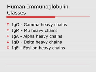 Immunoglobulins 2001 | PPT