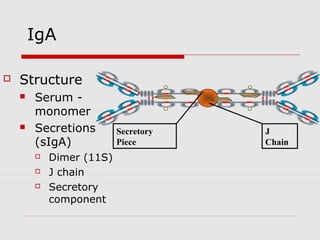 Immunoglobulins 2001 | PPT
