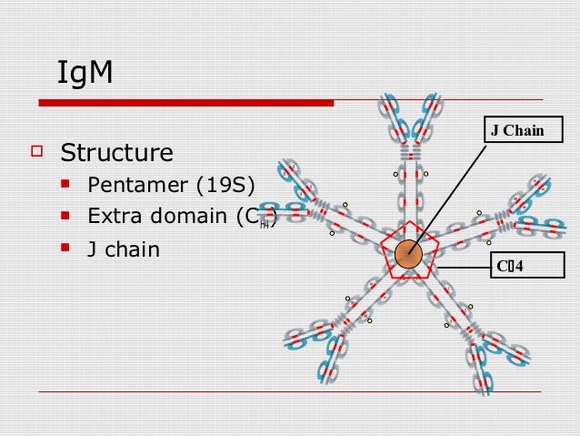 Immunoglobulins 2001
