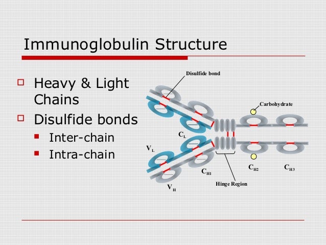 Immunoglobulins 2001