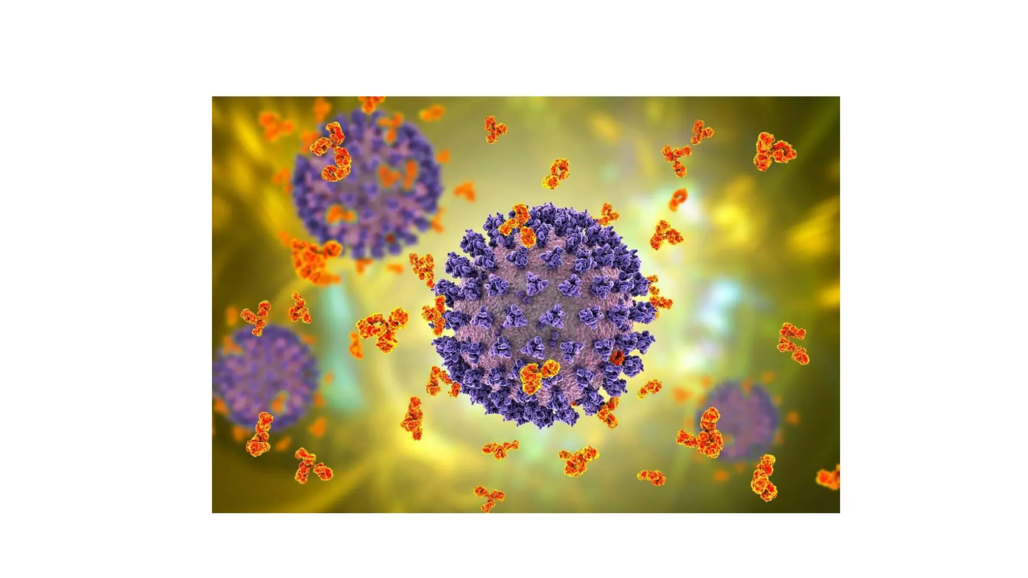 Immunoglobulins and ELISA.pdf Chapter -1 Preparation | PDF